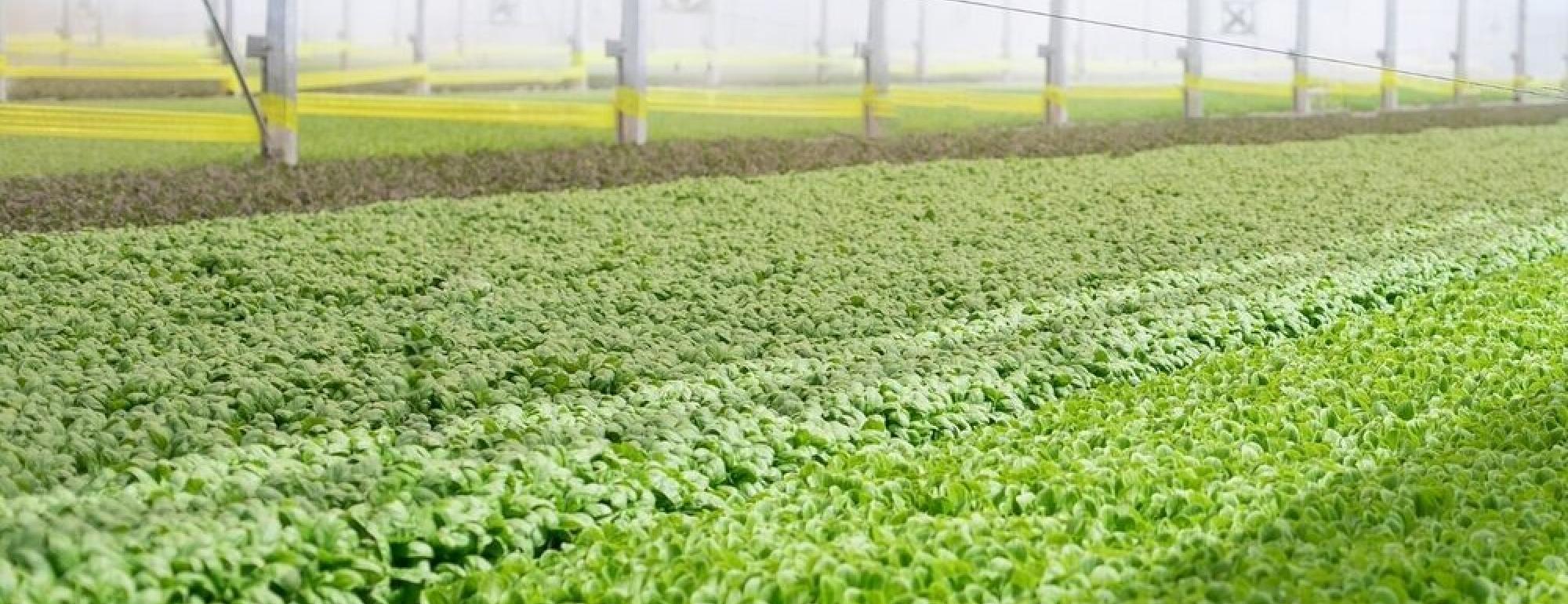 Controlled Environment Engineering (CEE) Lab