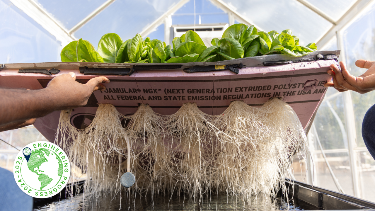Real-Time Nutrient Monitoring System for Hydroponic Production in ...