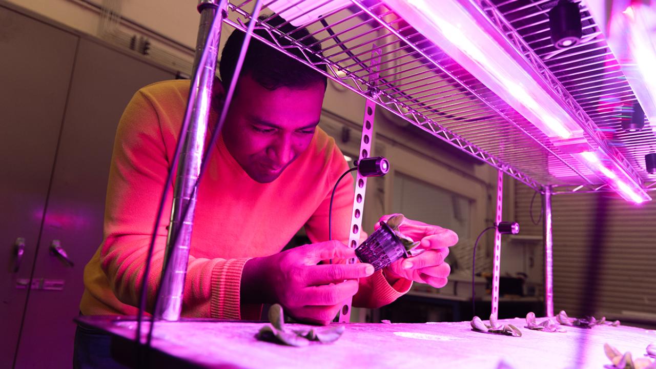 Research Interest and Funding Sponsors | Controlled Environment ...