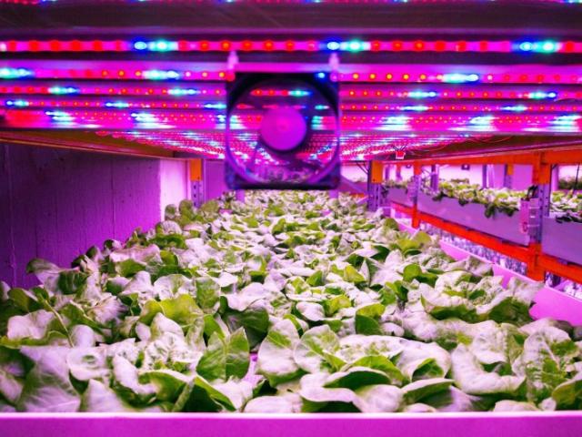 Controlled Environment Engineering (CEE) Lab