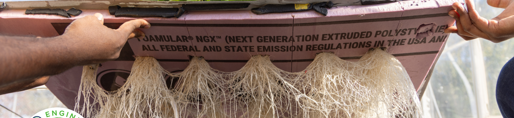 Real-Time Nutrient Monitoring System for Hydroponic Production in ...